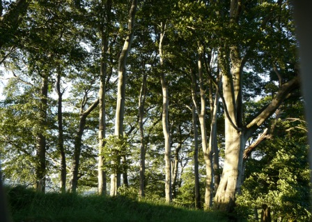 Location::Bakewell Holiday Cottages